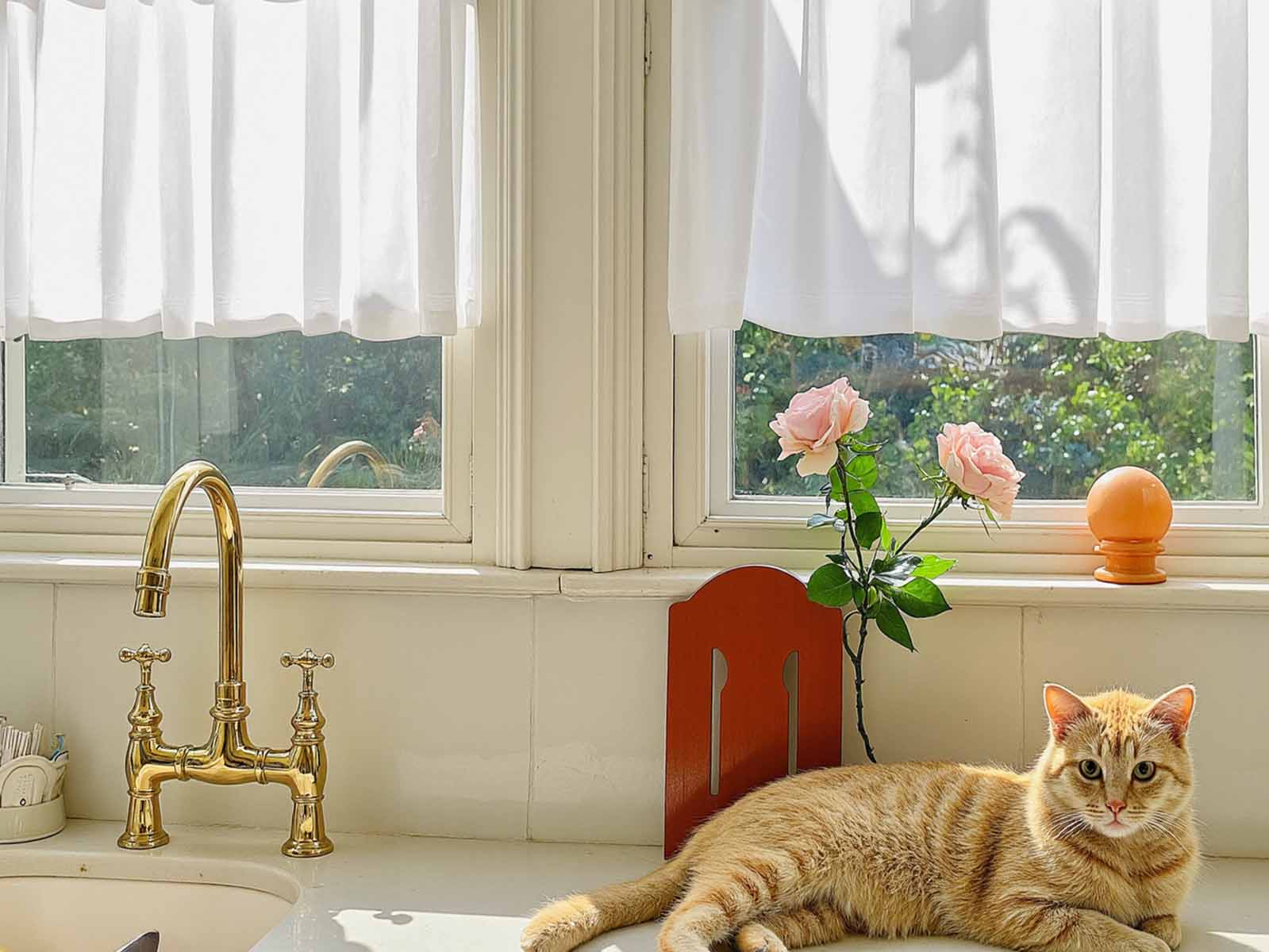 Why Half-Windows Are Worth Highlighting. – Miulee